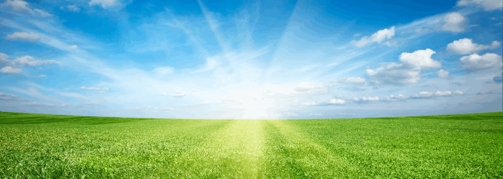 J.T. Clark Family Foundation - Fredericton, NB